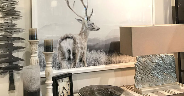 Collections - Three Bears Gift Shop