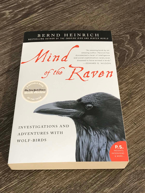 Mind of the Raven - Three Bears Gift Shop